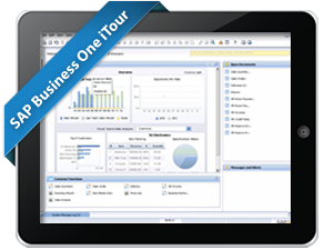 SAP ERP System | SAP Business One Software, Tech Support Services